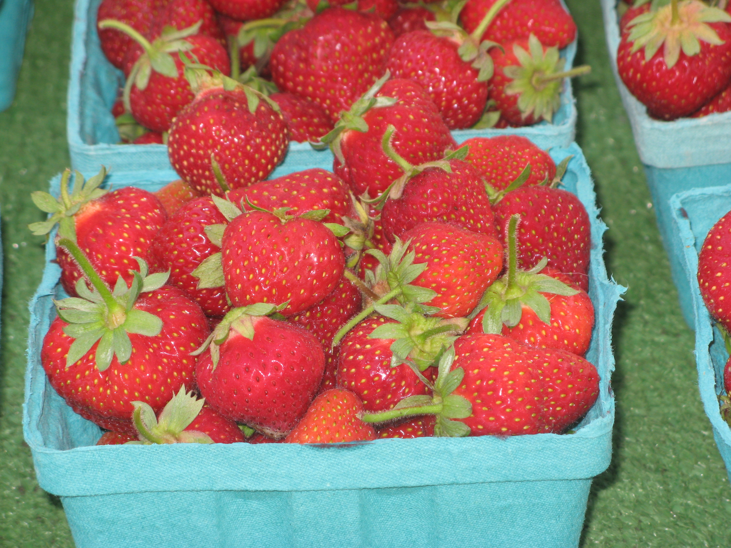 Witte's Vegetable Market, LLC